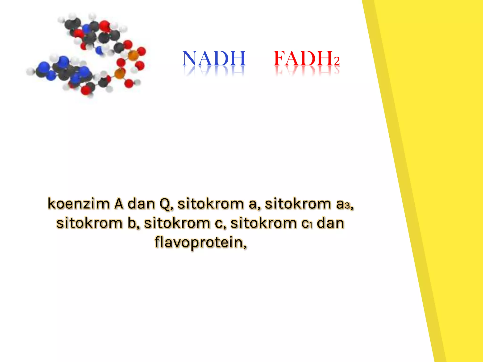 TRANSFER ELEKTRON | PPTX