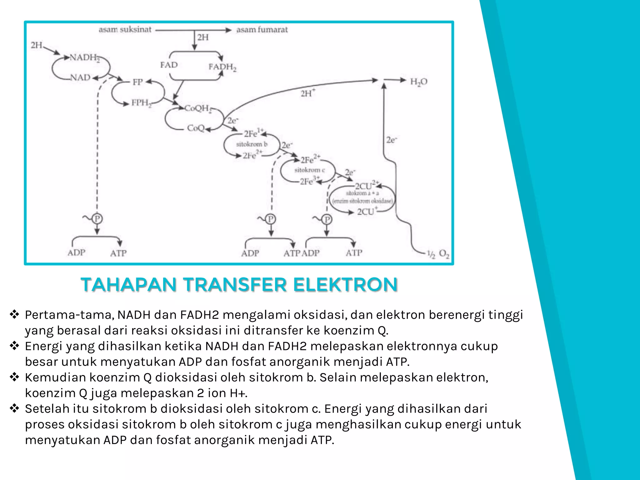 TRANSFER ELEKTRON | PPTX