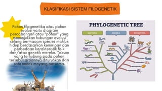 klasifikasi makluk hidup.pptx