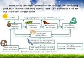 E-modul materi Ekosistem Kelas 10 SMA (Preview) | PDF