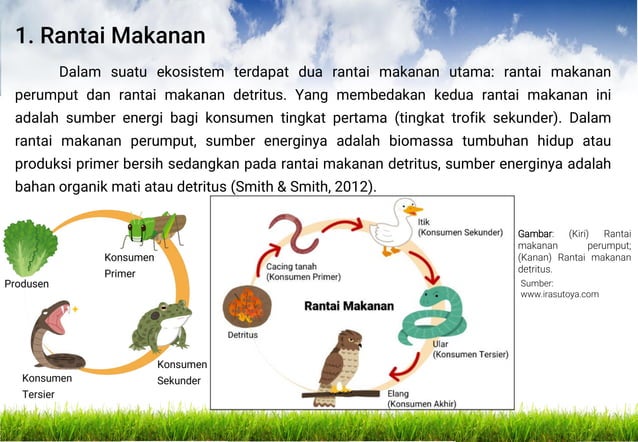 E-modul materi Ekosistem Kelas 10 SMA (Preview) | PDF