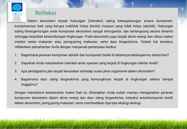 E-modul materi Ekosistem Kelas 10 SMA (Preview) | PDF