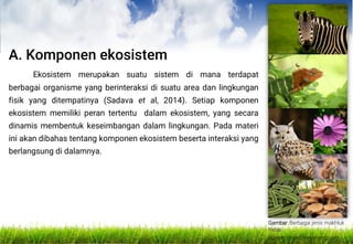 E-modul materi Ekosistem Kelas 10 SMA (Preview) | PDF