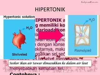 menunjukkan gejala difusi dan osmosis | PPT