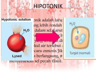 menunjukkan gejala difusi dan osmosis | PPT