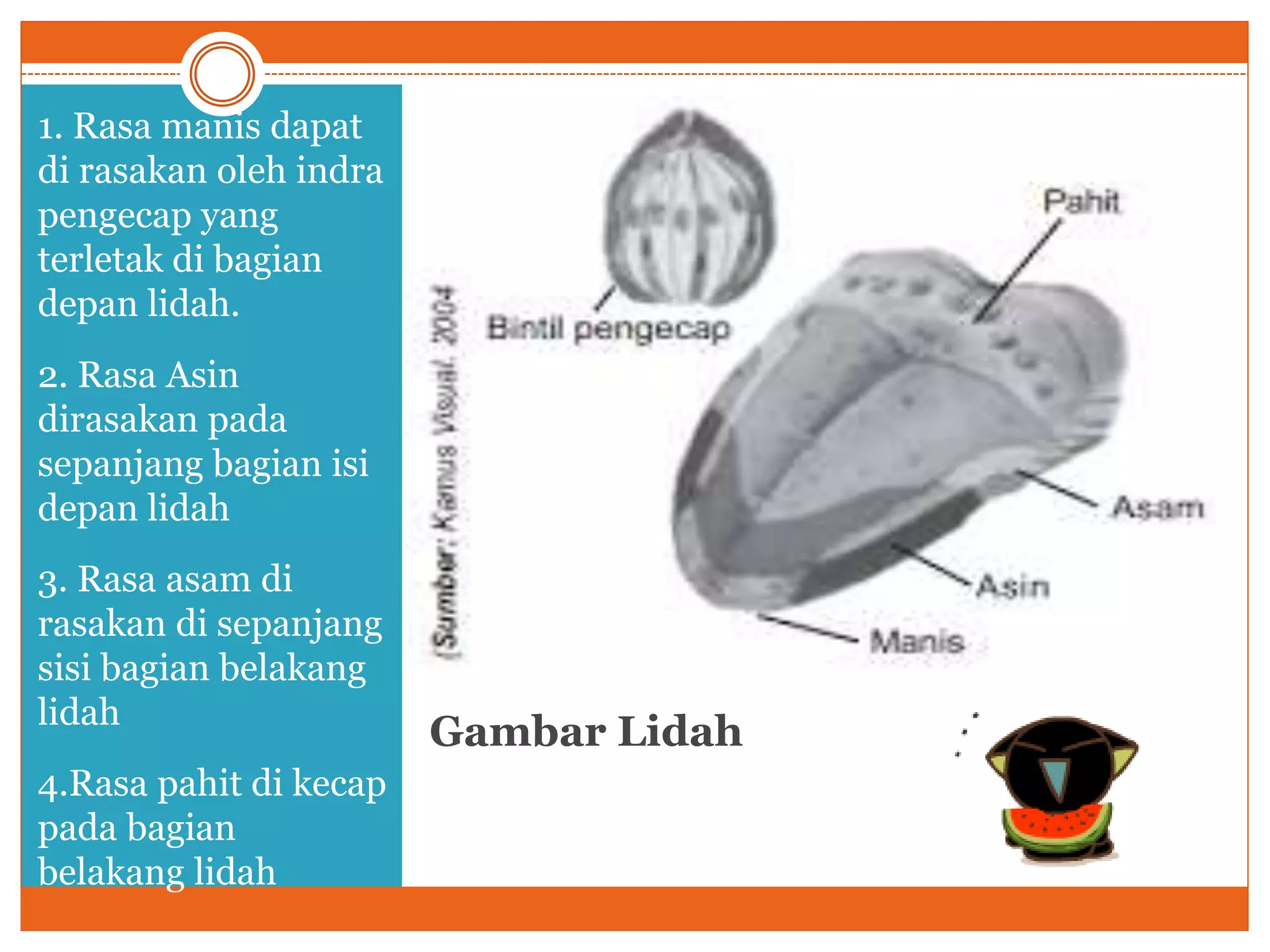 Indera Pengecap | PPTX