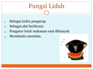 Indera Pengecap | PPTX