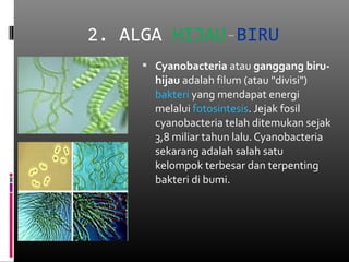 Biologi - monera | PPT