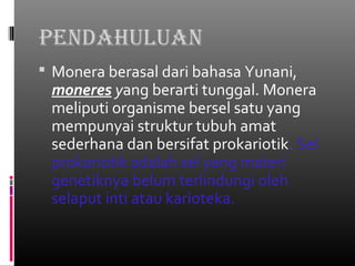 Biologi - monera | PPT