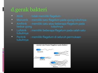 Biologi - monera | PPT