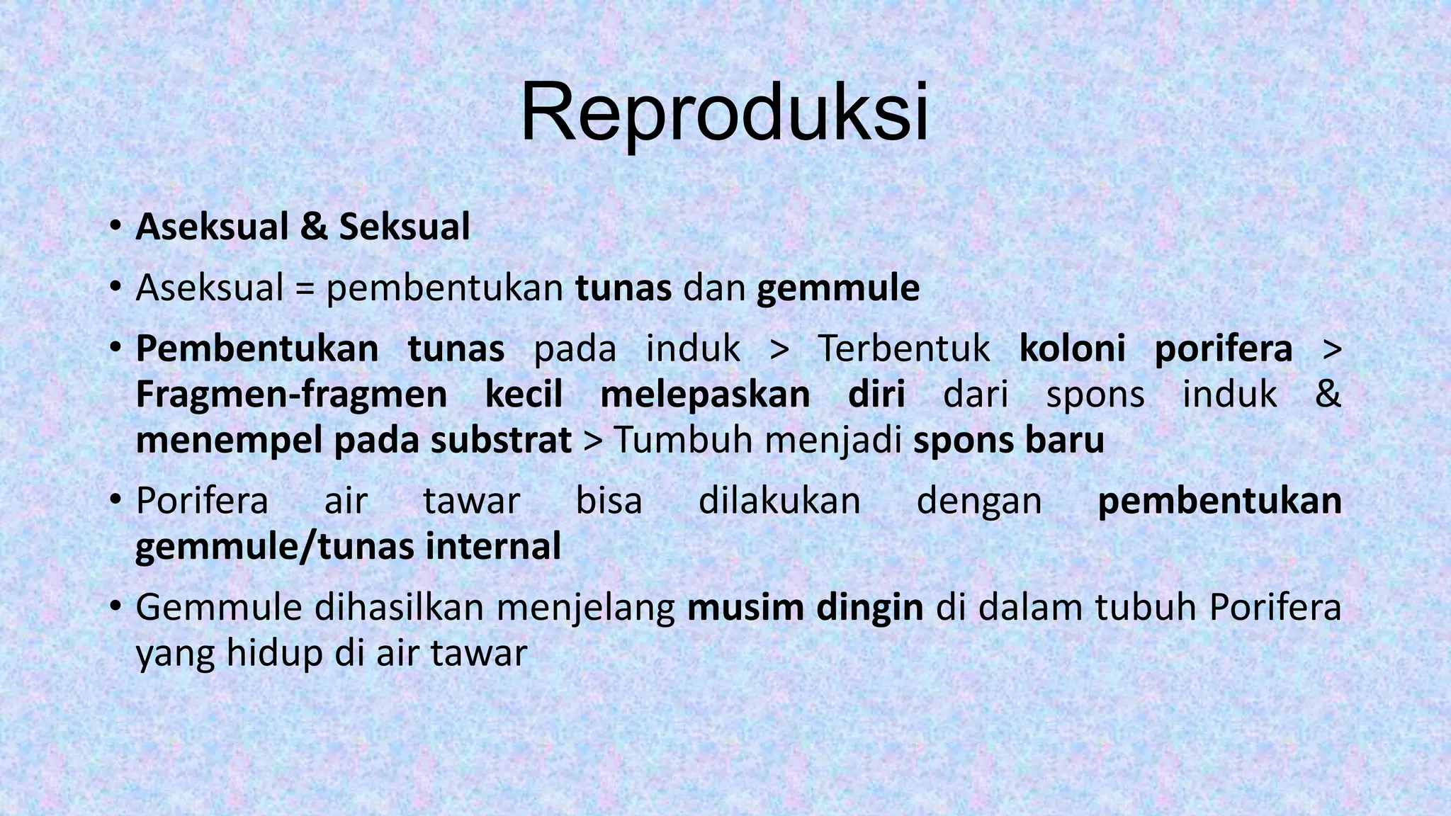 Biologi porifera dan coelenterata versi 2 | PPTX