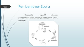 Reproduksi Tumbuhan - XI IPA | PPTX