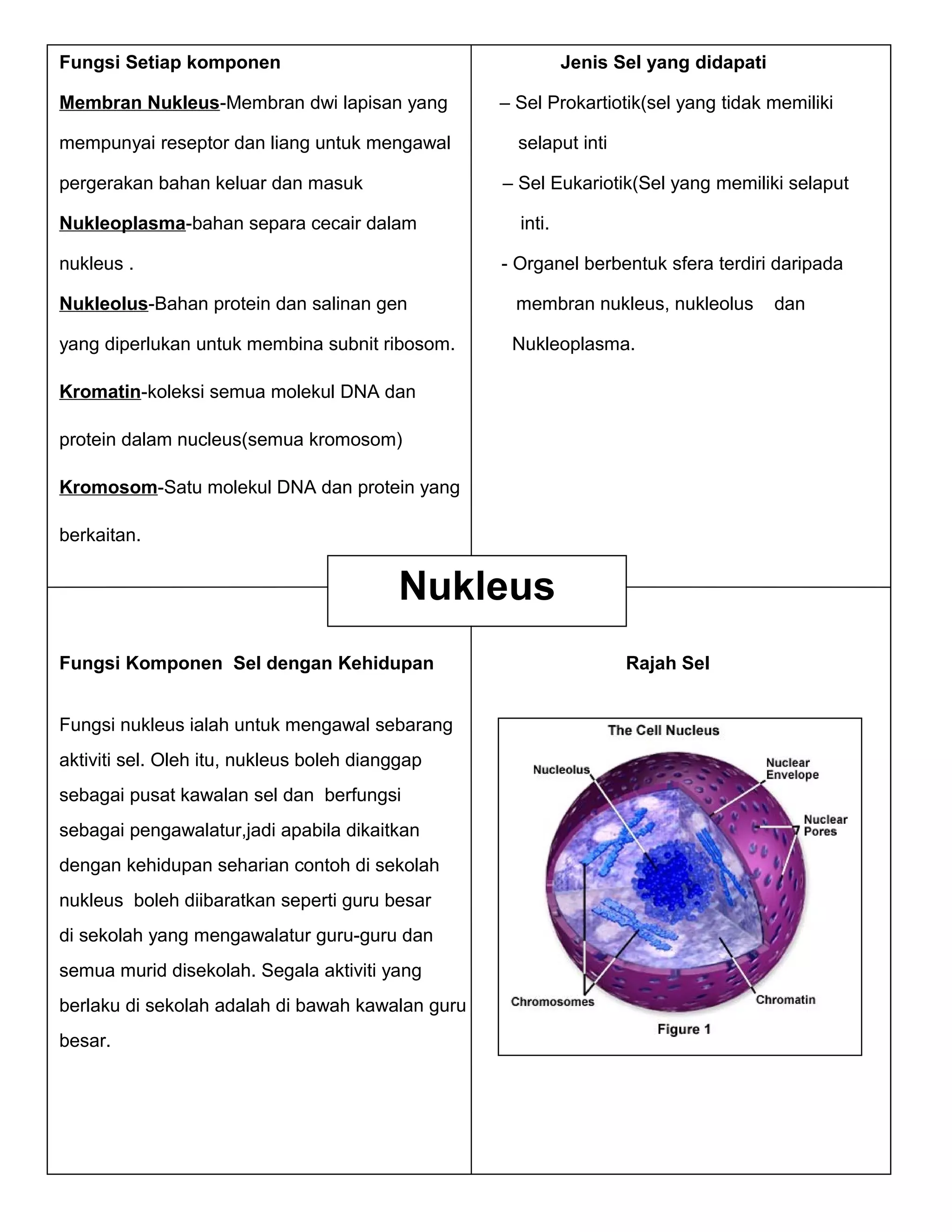 Biologi sem5 | PDF