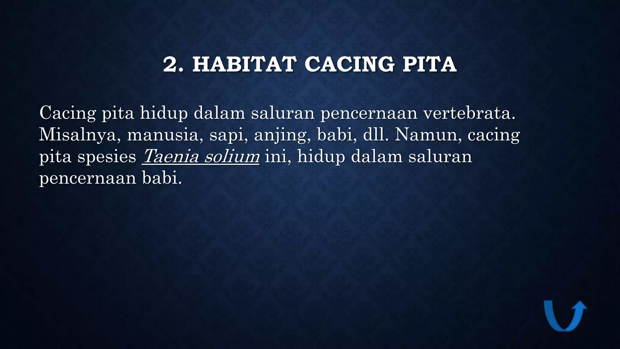 Biologi Seputar Kehidupan Cacing Pita | PPTX
