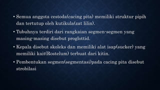 Biologi Seputar Kehidupan Cacing Pita | PPT
