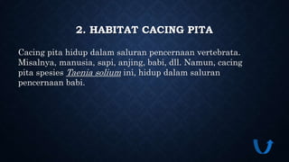 Biologi Seputar Kehidupan Cacing Pita | PPTX