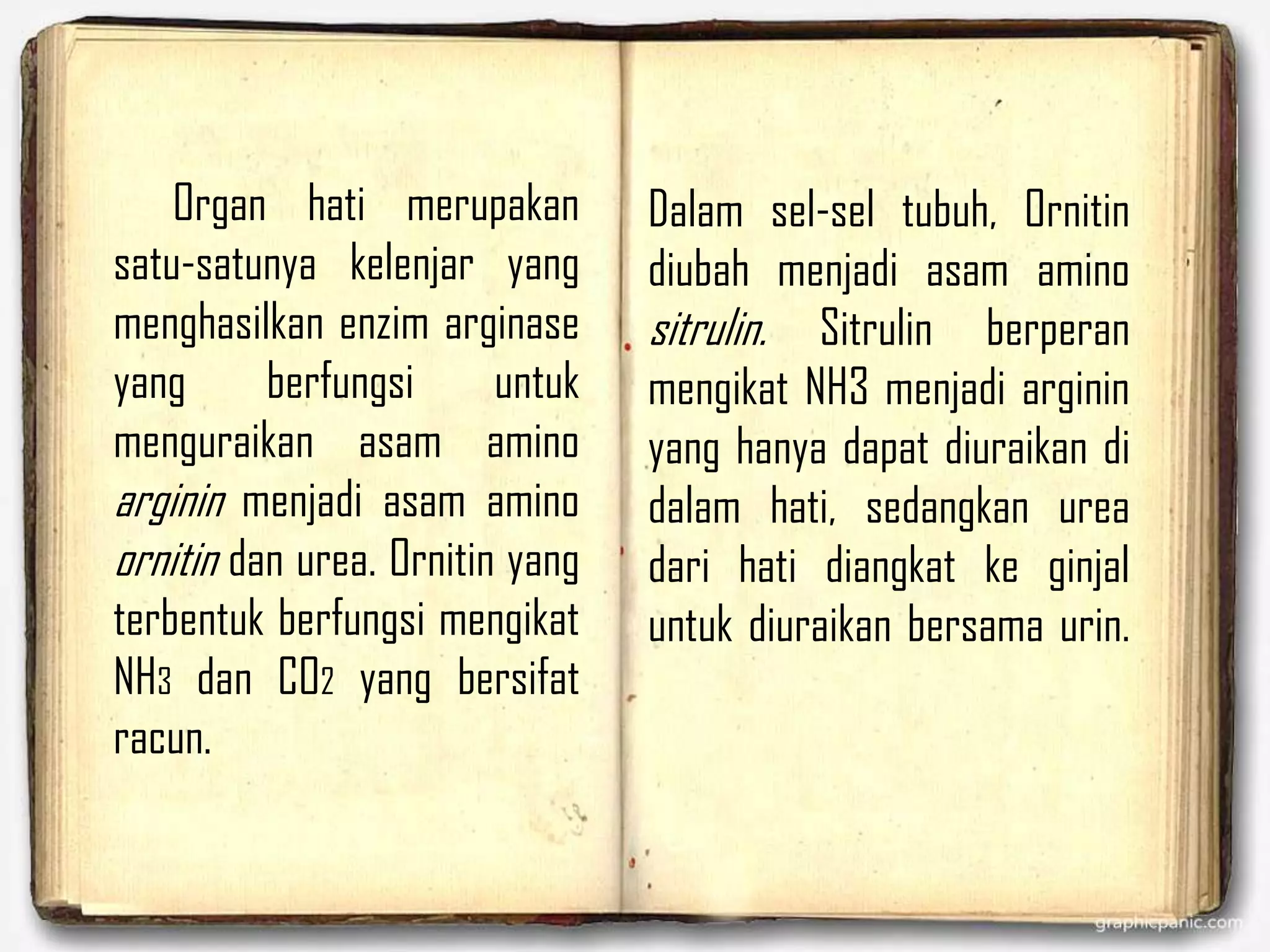 Sistem Ekskresi Pada Manusia | PPTX