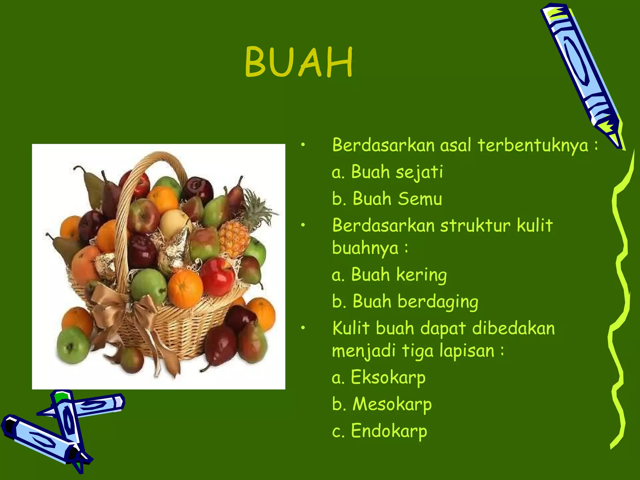 Biologi struktur dan fungsi jaringan tumbuhan | PPT