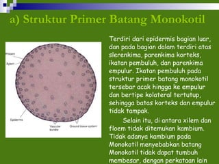 Biologi struktur dan fungsi jaringan tumbuhan | PPT