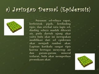 Biologi struktur dan fungsi jaringan tumbuhan | PPT