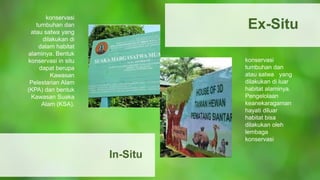 Biologi M1 KB1 | PPT