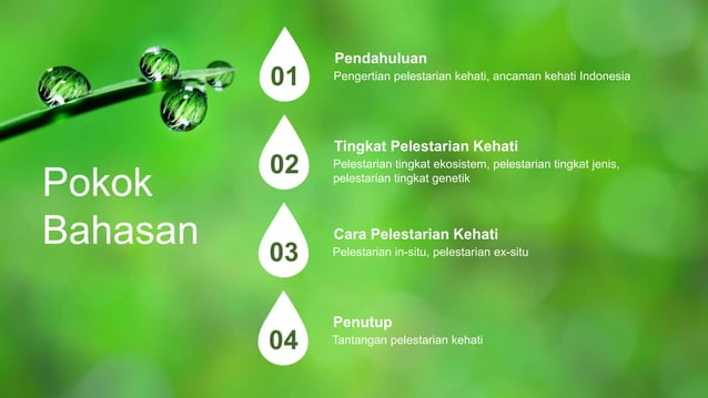 Biologi M1 KB1 | PPT