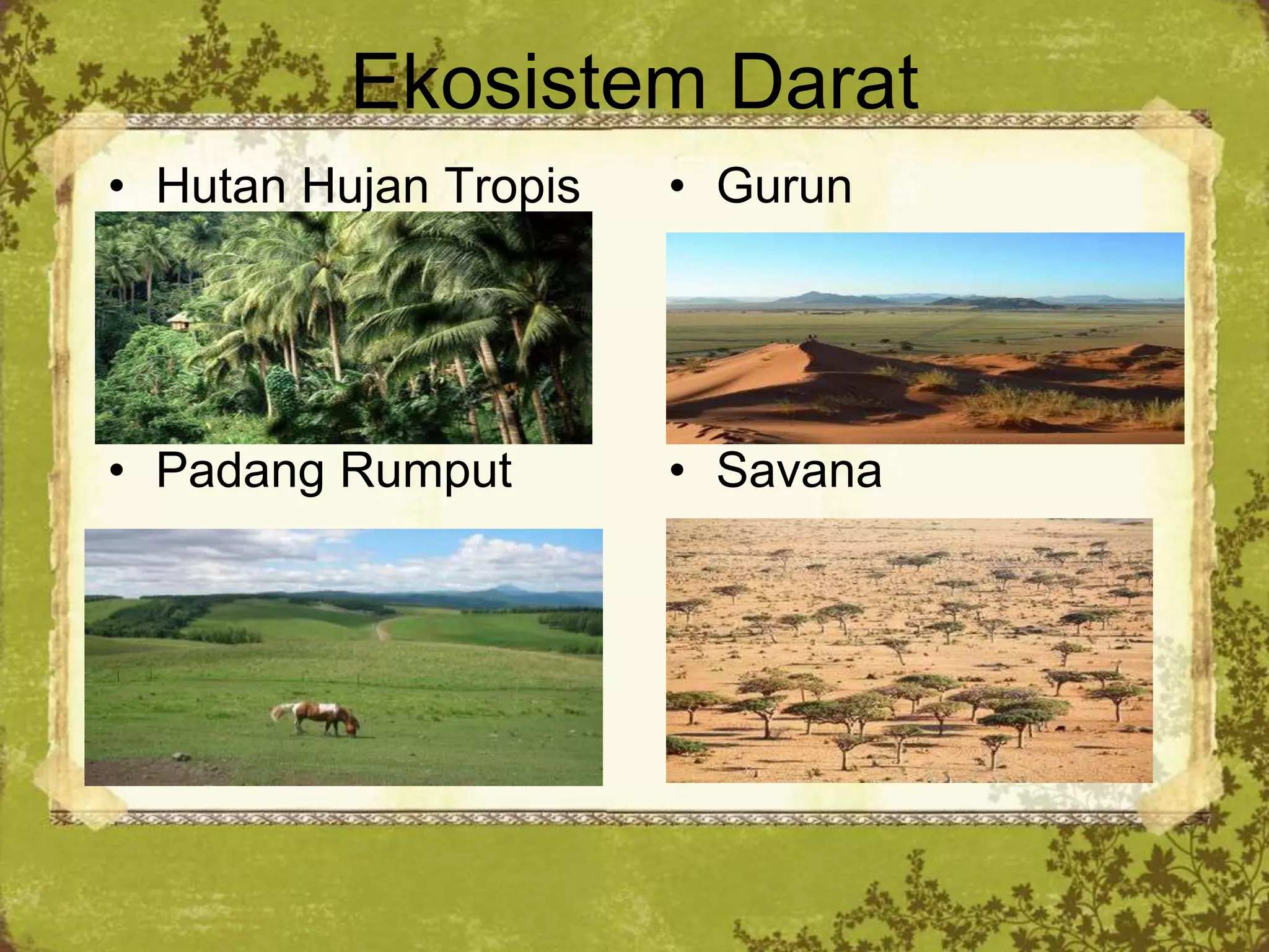 Biologi 10 ekosistem | PPTX