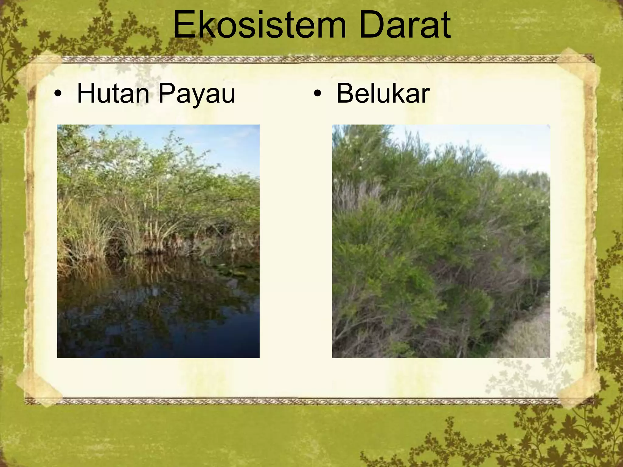 Biologi 10 ekosistem | PPTX