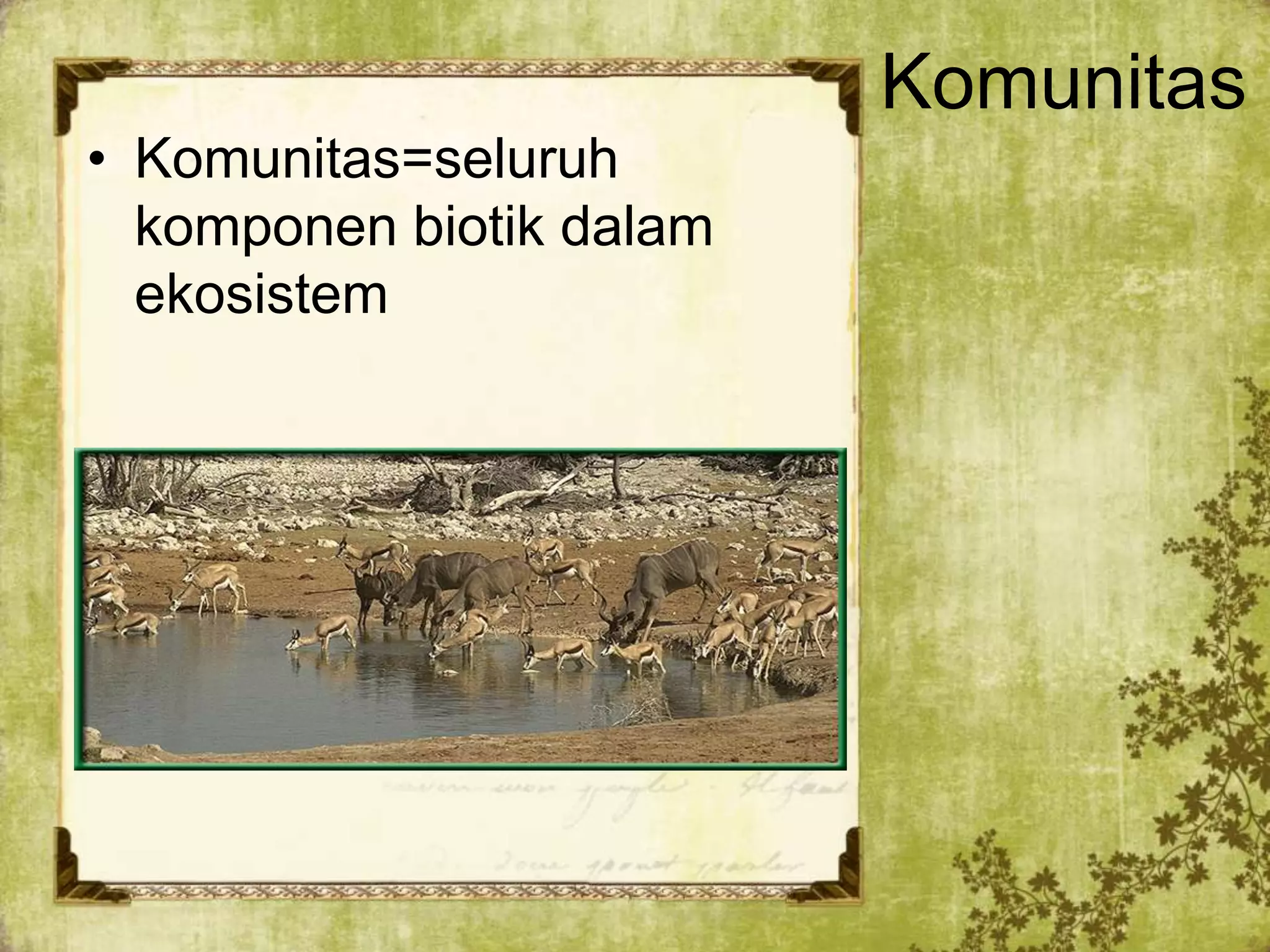 Biologi 10 ekosistem | PPTX