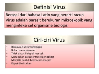 Biologi 10 virus | PPTX