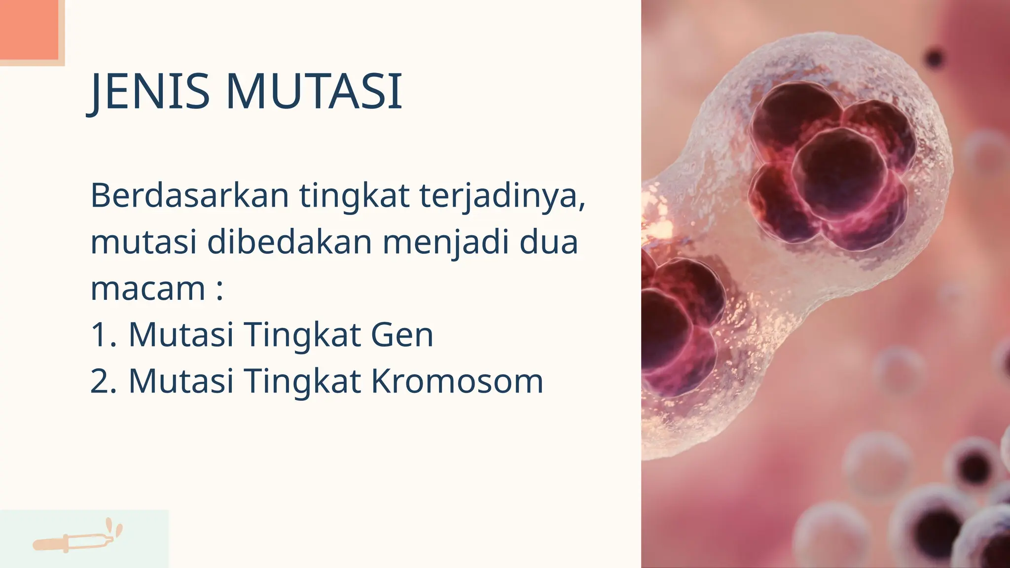 BIOLOGI KELAS 12 - MATERI BIOLOGI MUTASI.pptx