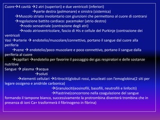 Apparato respiratorio e circolatorio | PPTX