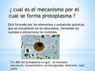 origen de la vida Oparin (capitulo 5) | PPTX