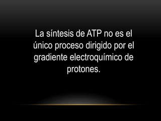 mitocondrias , vacuolas y cloroplastos | PPTX