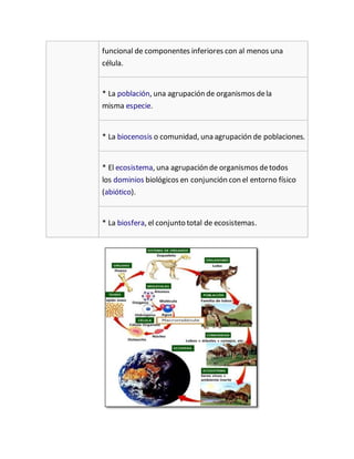 Biologia | DOCX