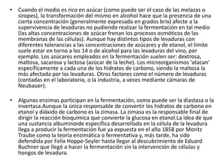 Glucólisis, Ciclo de Krebs, Fermentación Alcohólica y Láctica en ...