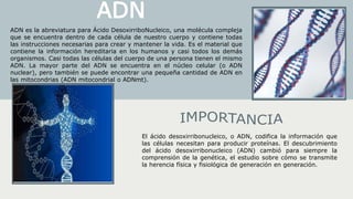 BIOLOGIA adn y arn,datos complementarios sobre este tema | PPTX