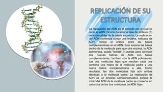 BIOLOGIA adn y arn,datos complementarios sobre este tema | PPTX