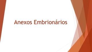 Biologia anexos embrionários | PPTX