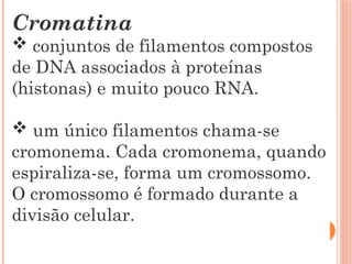 biologia-biologia-celular-do-nucleo.pptx