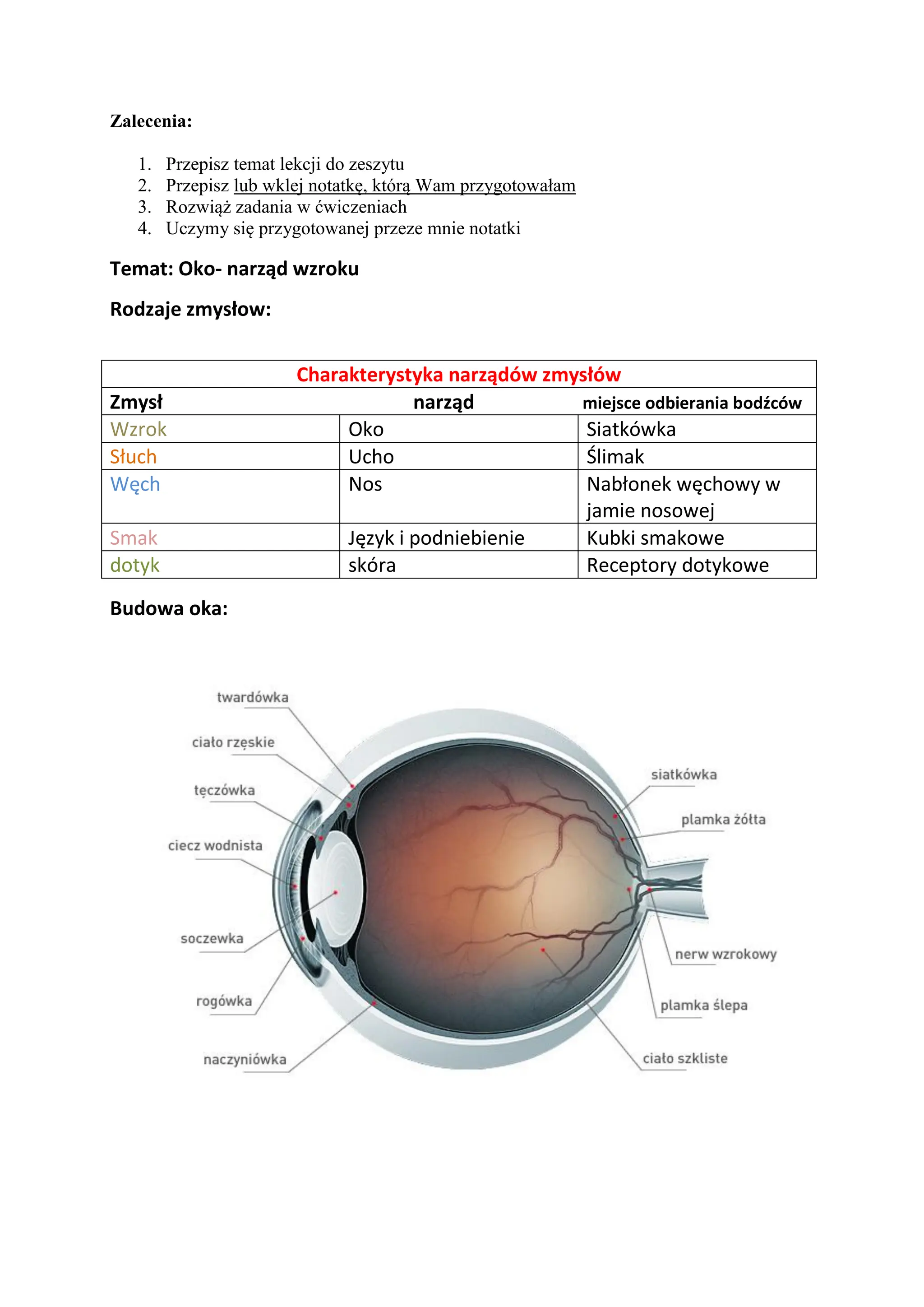 biologia-klasa-7-26.04.pdfjhnh uh uh uh gubugb | PDF