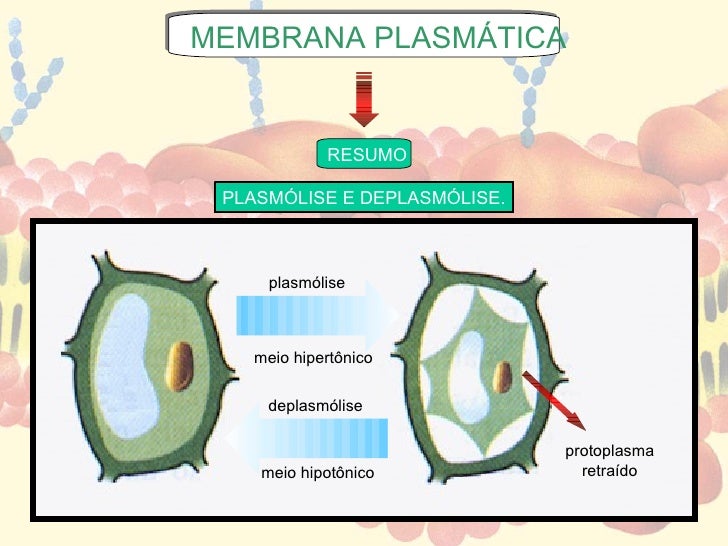 Biologia membrana plamática i