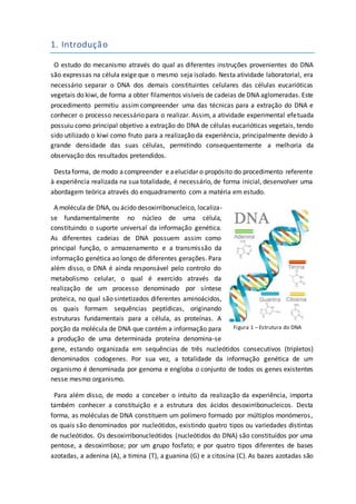 Biologia - Relatório da Extração de DNA do Kiwi (11º Ano) | DOCX