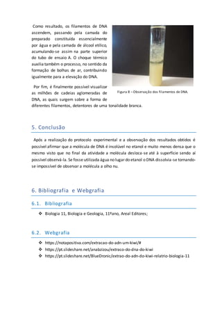Biologia - Relatório da Extração de DNA do Kiwi (11º Ano) | DOCX