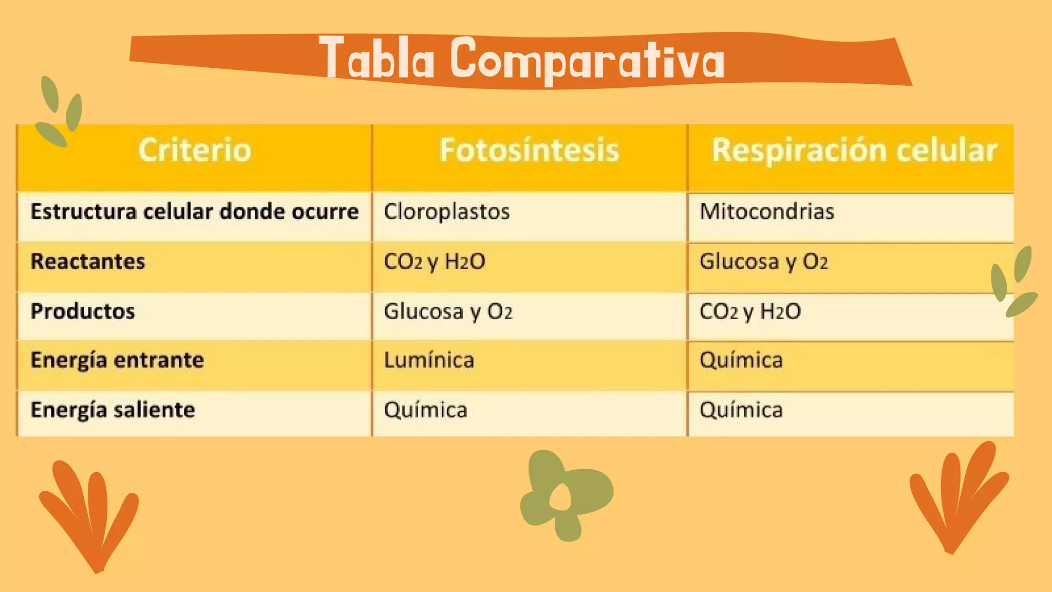 Biologia-Segundo-Medio-Fotosintesis-y-Respiracion-Celular.pdf