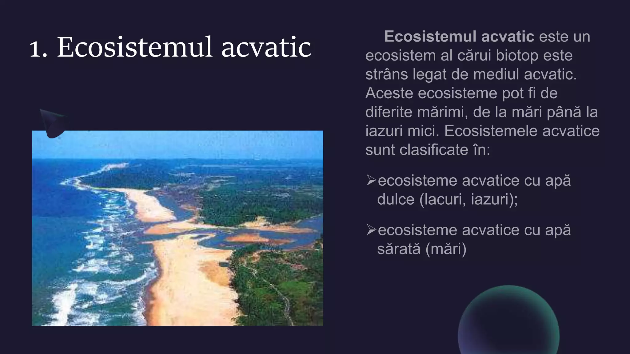 Biodiversitatea in lumea vie | PPTX