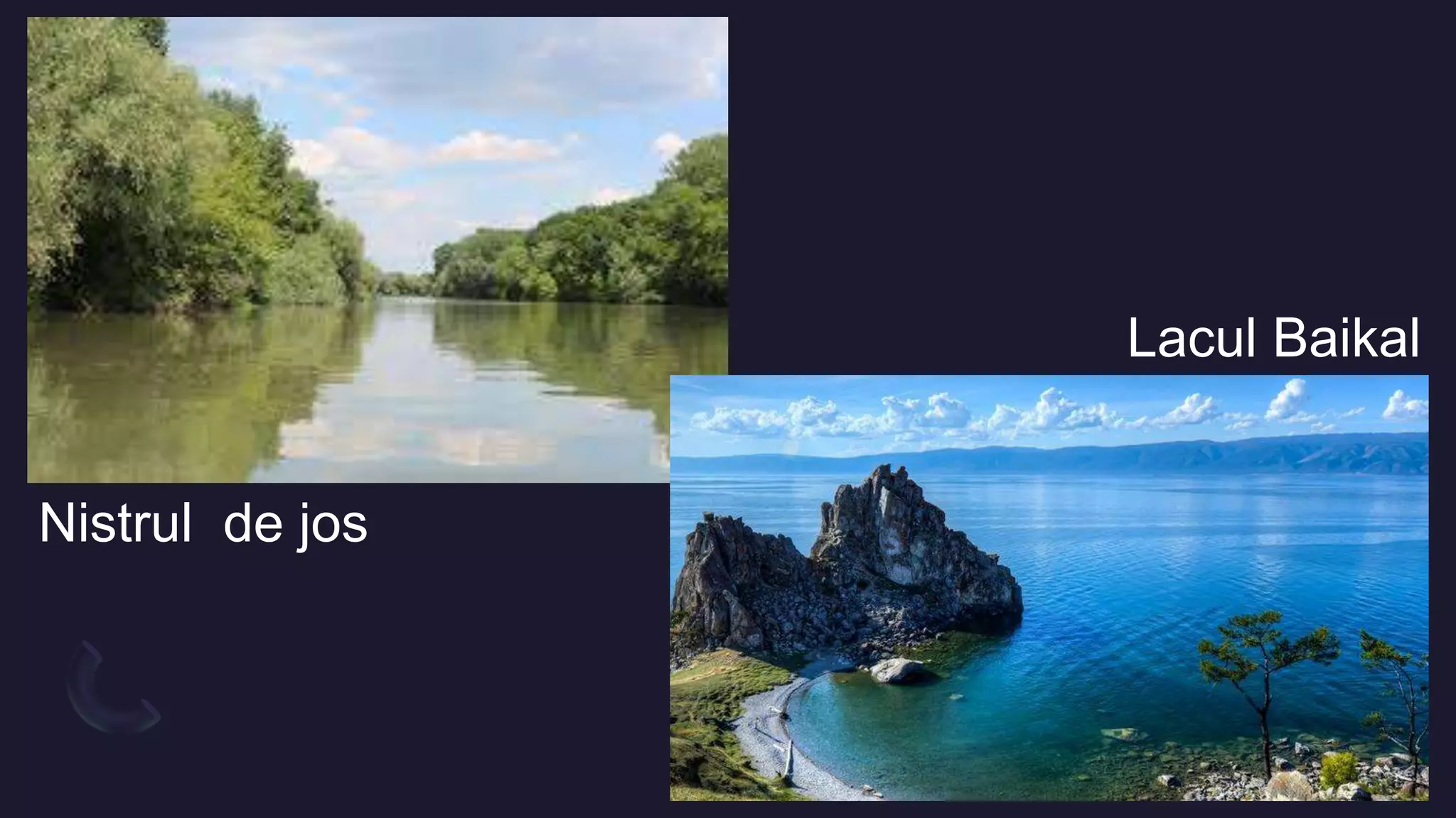 Biodiversitatea in lumea vie | PPTX