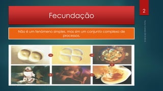 Biologia 12 fecundação | PDF