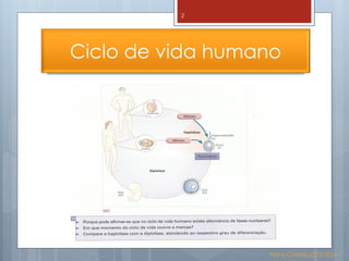 Biologia 12 reprodução humana | PDF