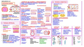 BIOLOGIA 12 PIZARRAS RESUMENES COMPLETA -1.pdf